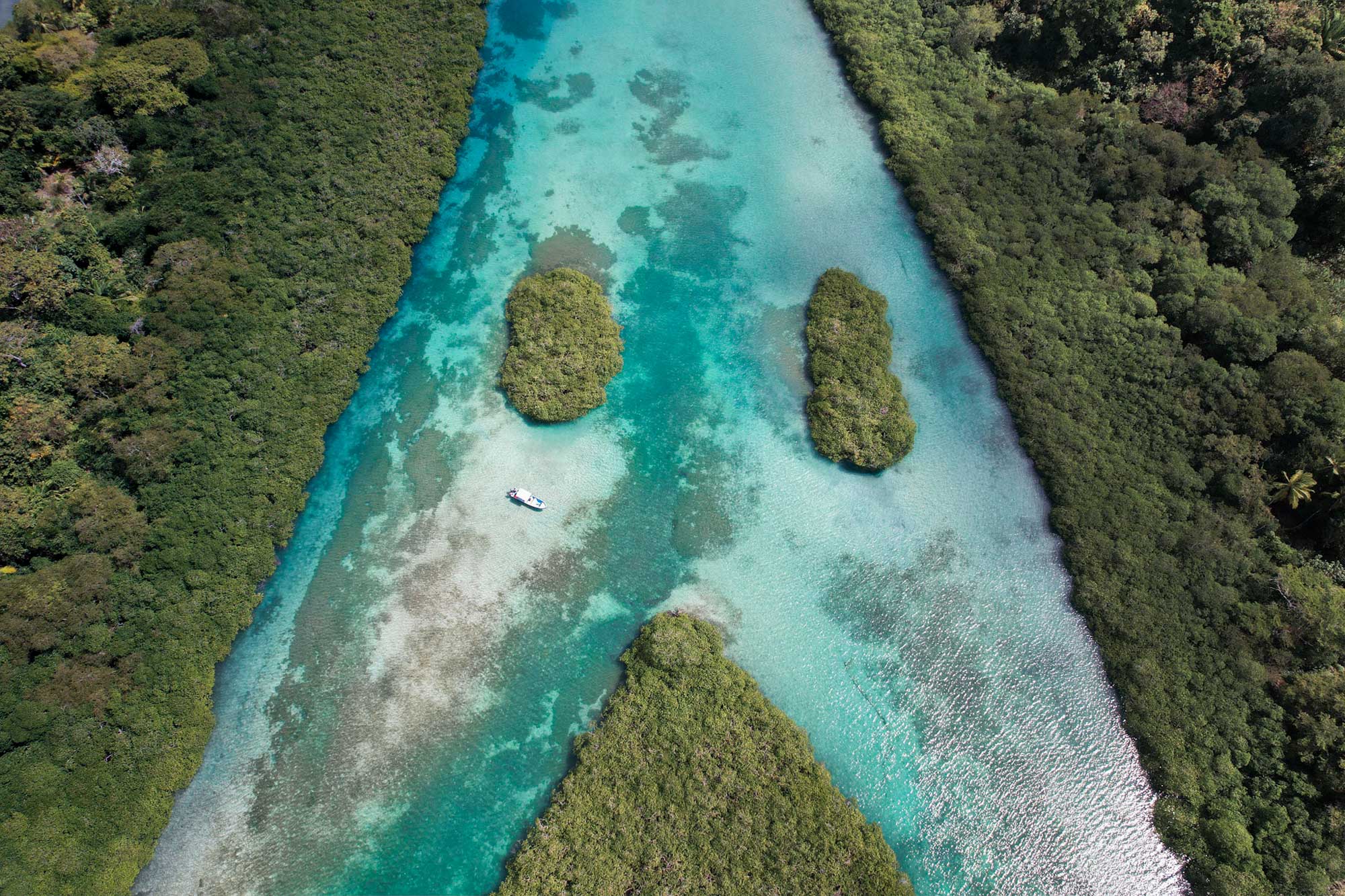 Imprescindibles que ver en Panamá